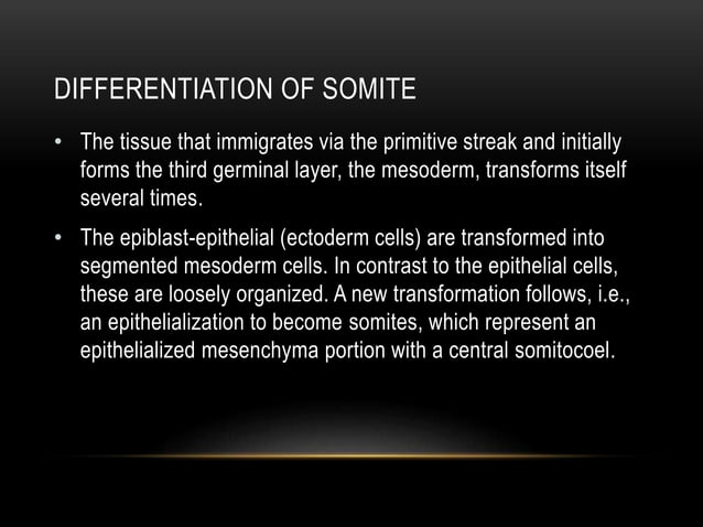 Somite formation | PPTX