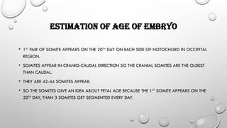 SOMITES ANSHU PPT done final.pptx anatomy | PPTX