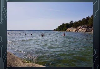Sommarbilder 2018 av Ingemar Pongratz | PPT