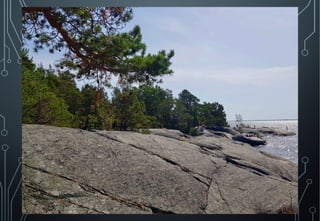 Sommarbilder 2018 av Ingemar Pongratz | PPT