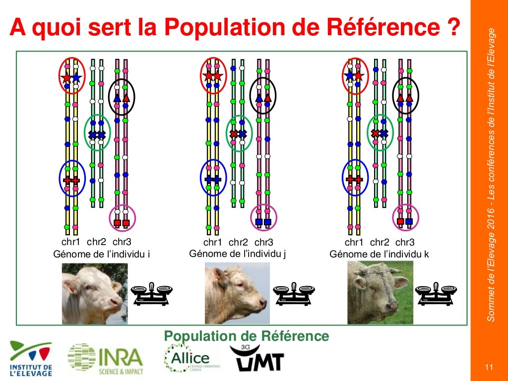 Sommet2016 Le déploiement génomique en bovin viande