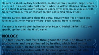 Somnath acharjee 14 bar1086 ( golden champa ) | PPT