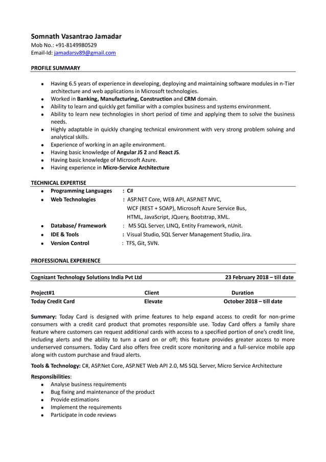 Somnath Resume | PDF
