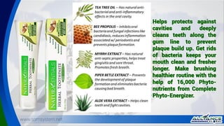 Aim Global Toothpaste