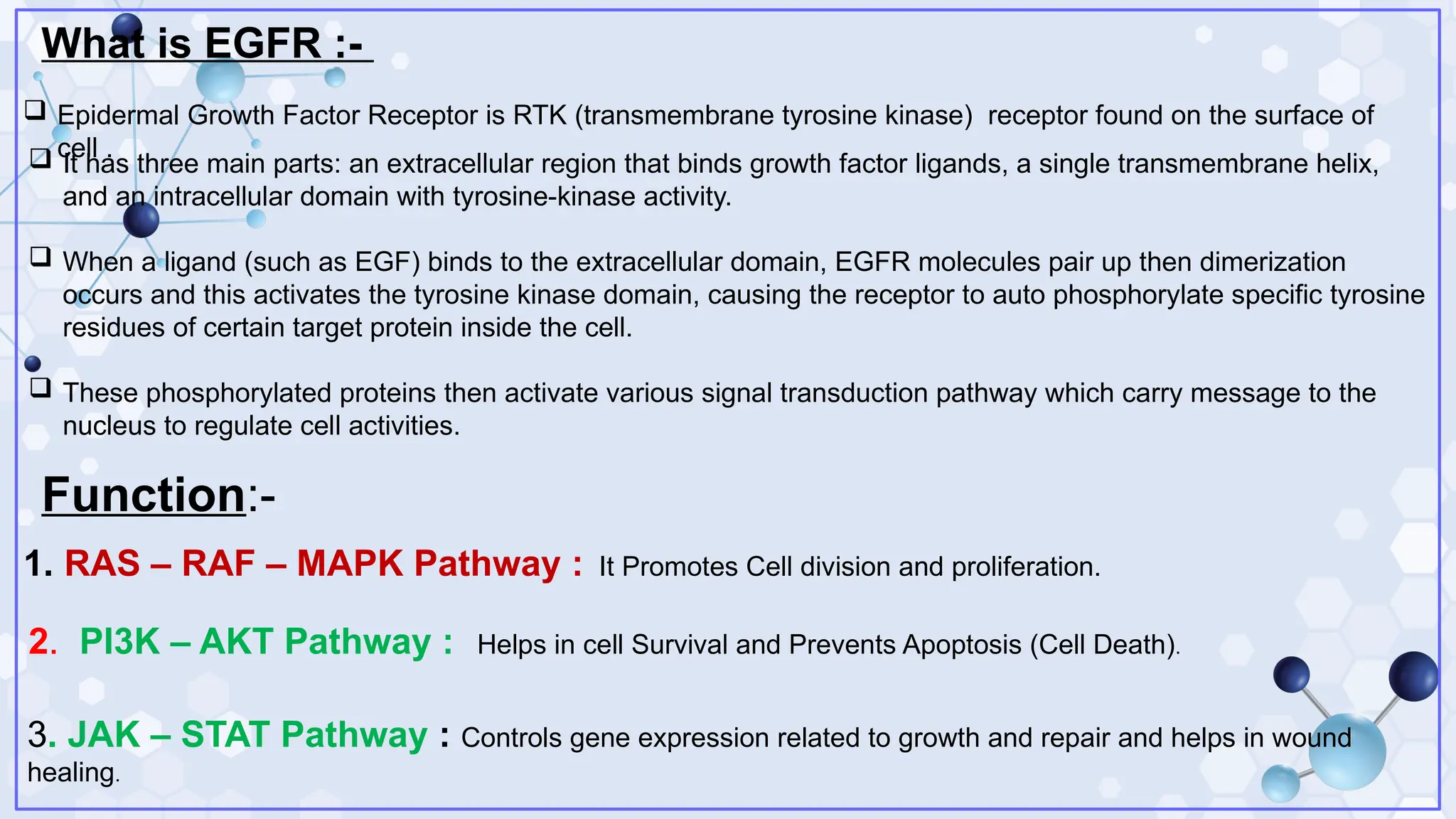 Somya Challenge How EGFR causes cancer and how drugs can deal with it ...