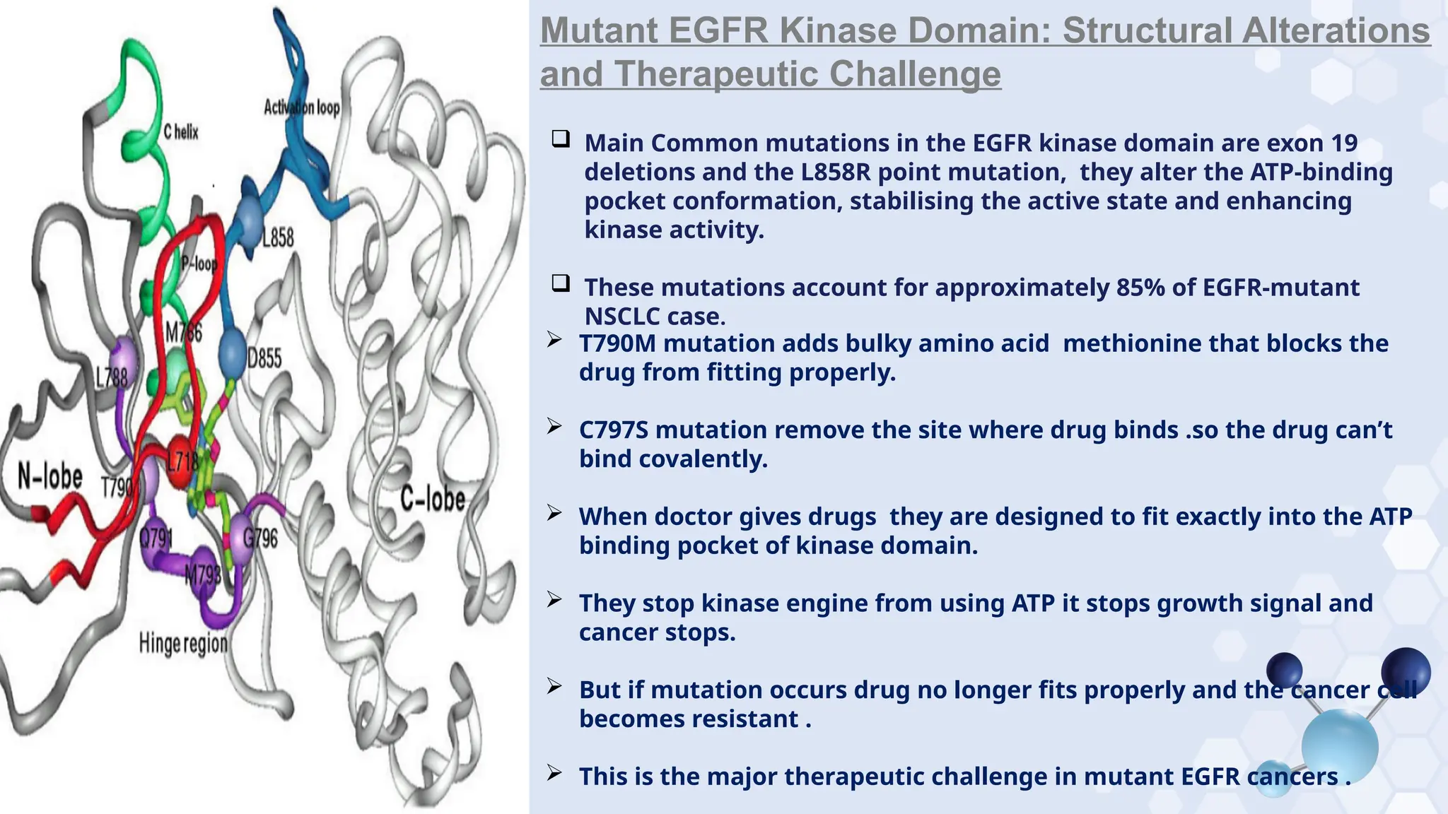 Somya Challenge How EGFR causes cancer and how drugs can deal with it ...
