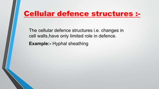 DEFENCE MECHANISM IN PLANTS. | PPTX