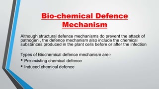 DEFENCE MECHANISM IN PLANTS. | PPTX