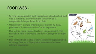 somyappt.pptxhklahagffrujaabbbhxjdlggagh | PPTX