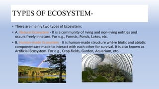 somyappt.pptxhklahagffrujaabbbhxjdlggagh | PPTX