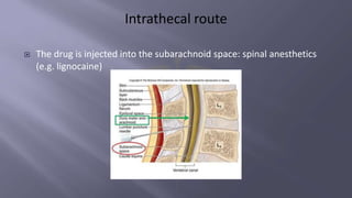 Parental Route of Drug Administration by Sonal Patel | PPT