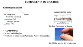 BIOCHIPS(Life On It) | PPT