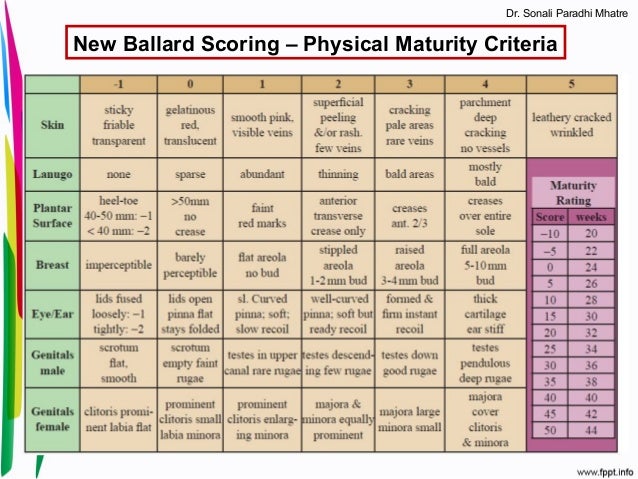 Neonatology Basics - Gestation & Birth Weight