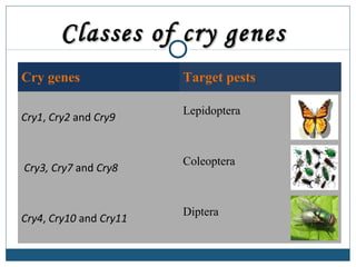 Sonalika kolhekar | PPT | Beekeeping | Hobbies & Interests