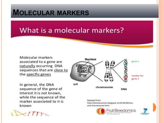 markers and their role | PPTX
