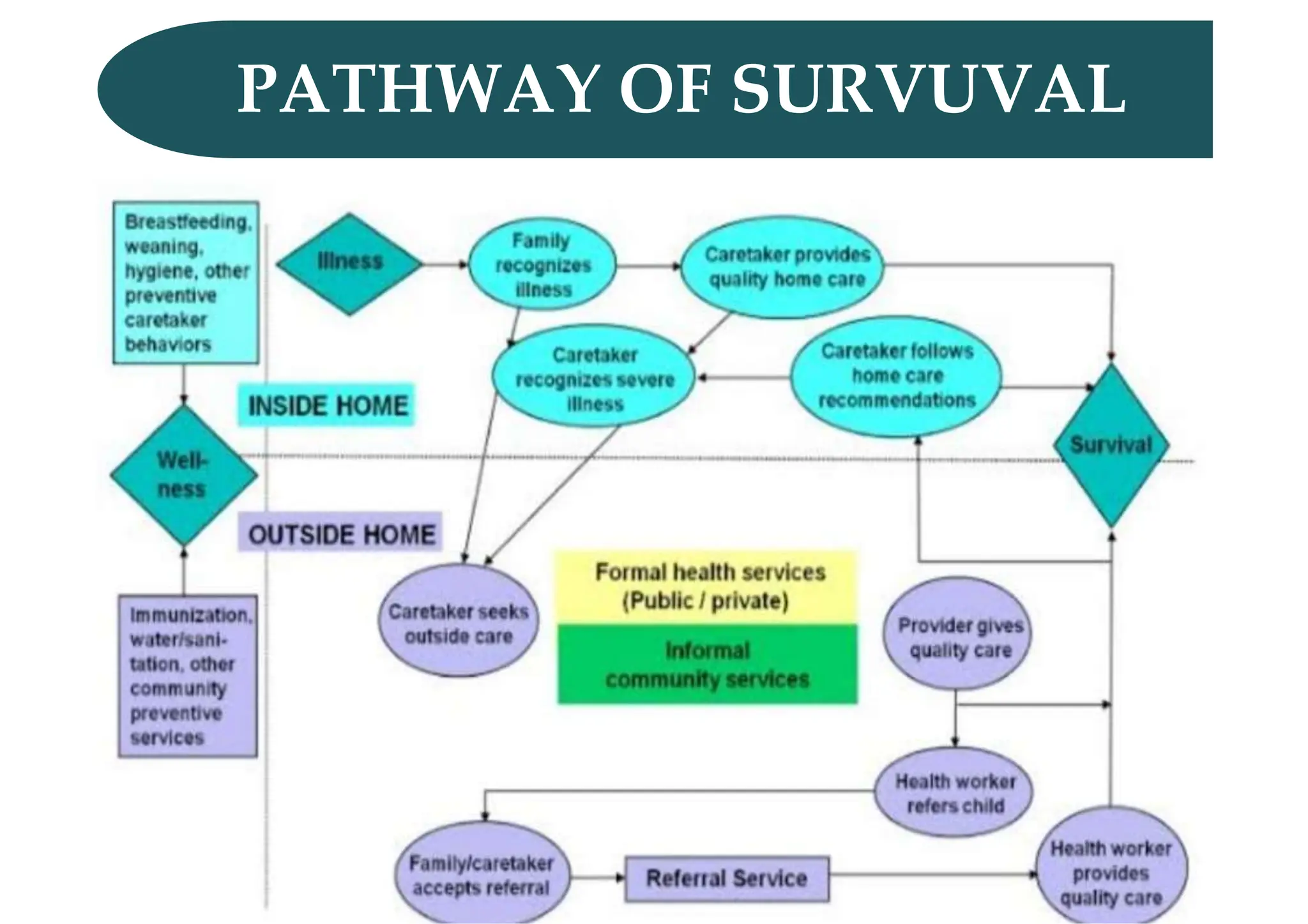 social autopsy preventive medicine seminar PPT.pptx