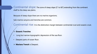 Oceanography | PPTX