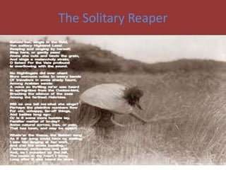 SOLITARY REAPER | PPT