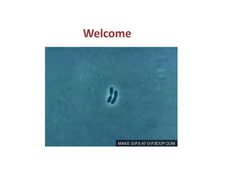 microbes | PPT