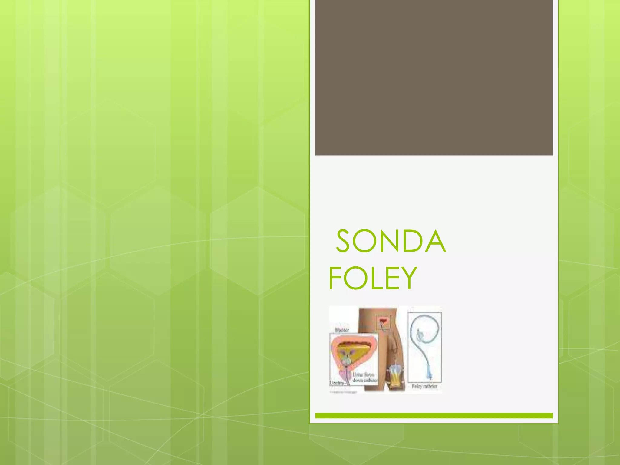 Sonda foley | PPT