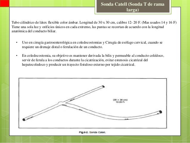 Sonda En T Catell - slingo
