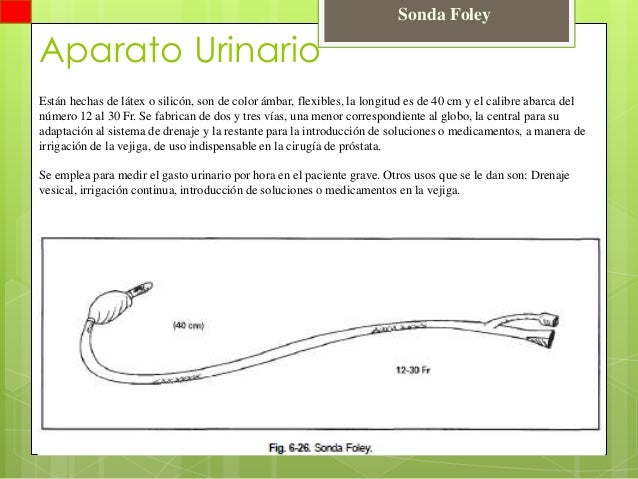Sonda En T Catell - slingo