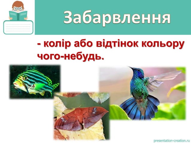 Sonechko | PPT | Free Download