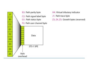 Synchronous optical networking (SONET) | PDF