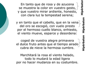 Soneto XXIII (Miriam, Alejandra, Carla, 3º D) | PPTX