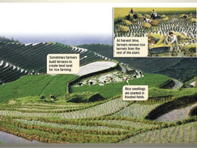 Song dynasty advancements
