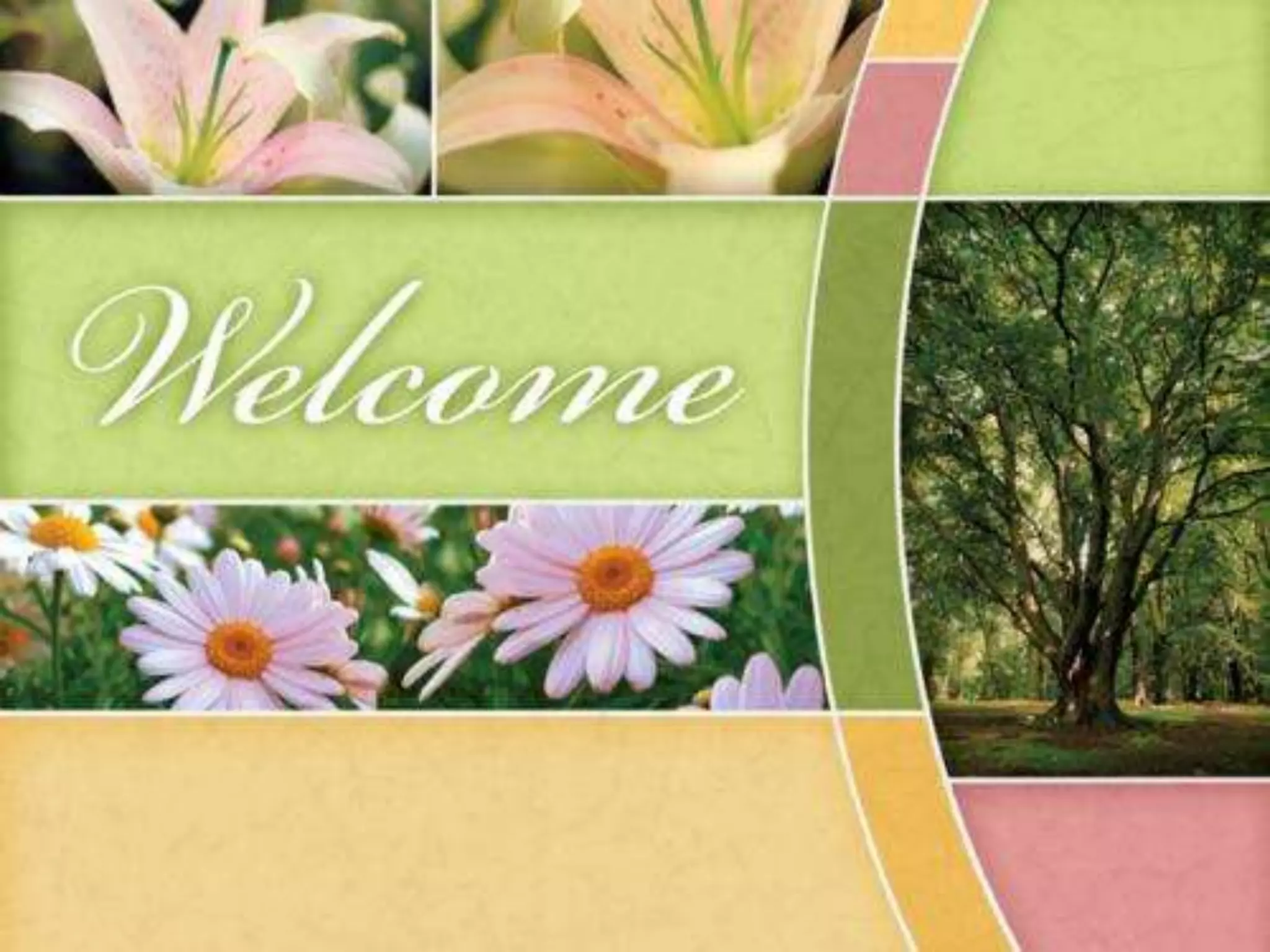 Song of a dream second stanza | PPT