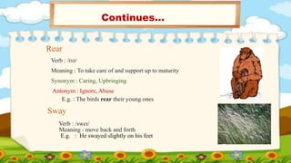 song of the flower by Khalil Gibran, class 8 | PPTX | Poetry | Books ...