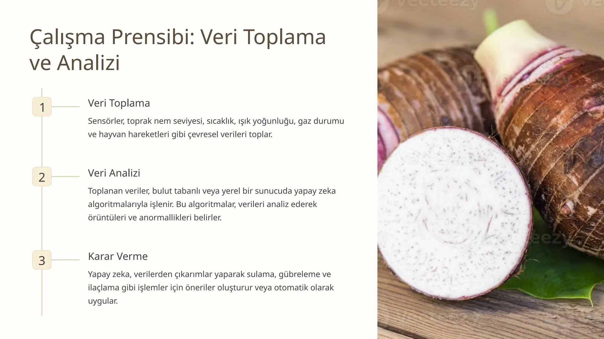 son hal slayt ve tasarım konulu proje.pptx