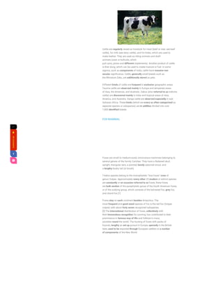 soni-lovestoblog-com-mammal-.pdf