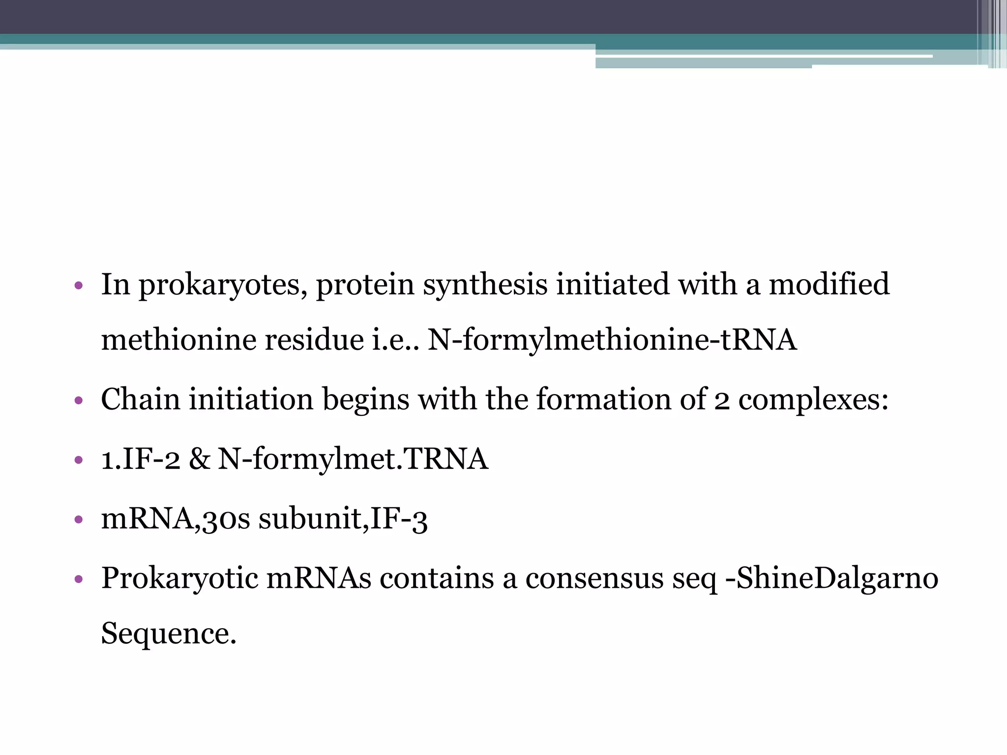 Translation in Prokaryotes | PPTX