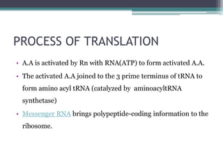 Translation in Prokaryotes | PPTX