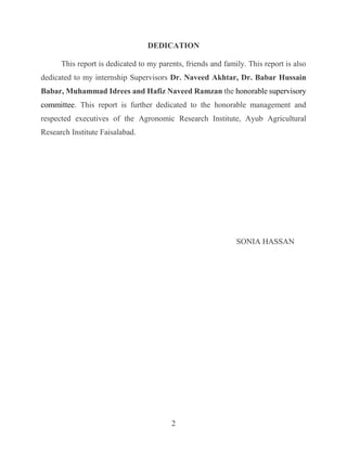 Internship Report | DOCX