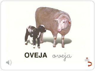 Onomatopeyas de animales | PPTX