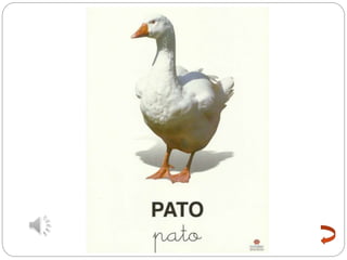 Onomatopeyas de animales | PPTX