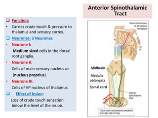 Neuroanatomy Ascending Spinal Tracts.ppt