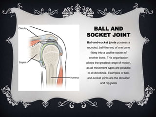 body movement | PPTX