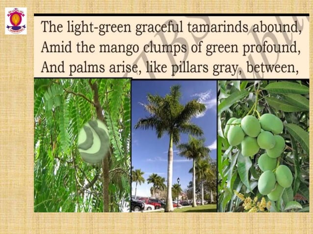 Sonnet-std 7th English ppt.pptx