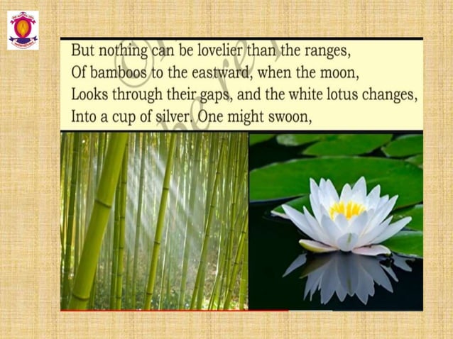 Sonnet-std 7th English ppt.pptx