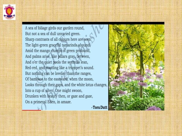 Sonnet-std 7th English ppt.pptx