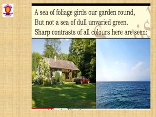 Sonnet-std 7th English ppt.pptx