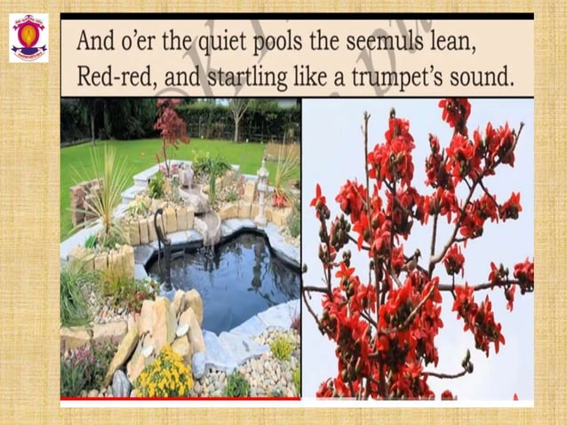 Sonnet-std 7th English ppt.pptx