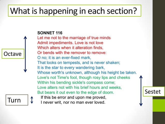 Shakespeare's Sonnet 116 Structure | PPT