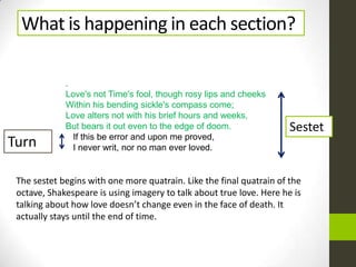 Shakespeare's Sonnet 116 Structure | PPTX