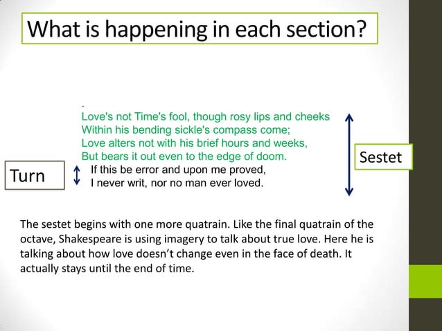 Shakespeare's Sonnet 116 Structure | PPT