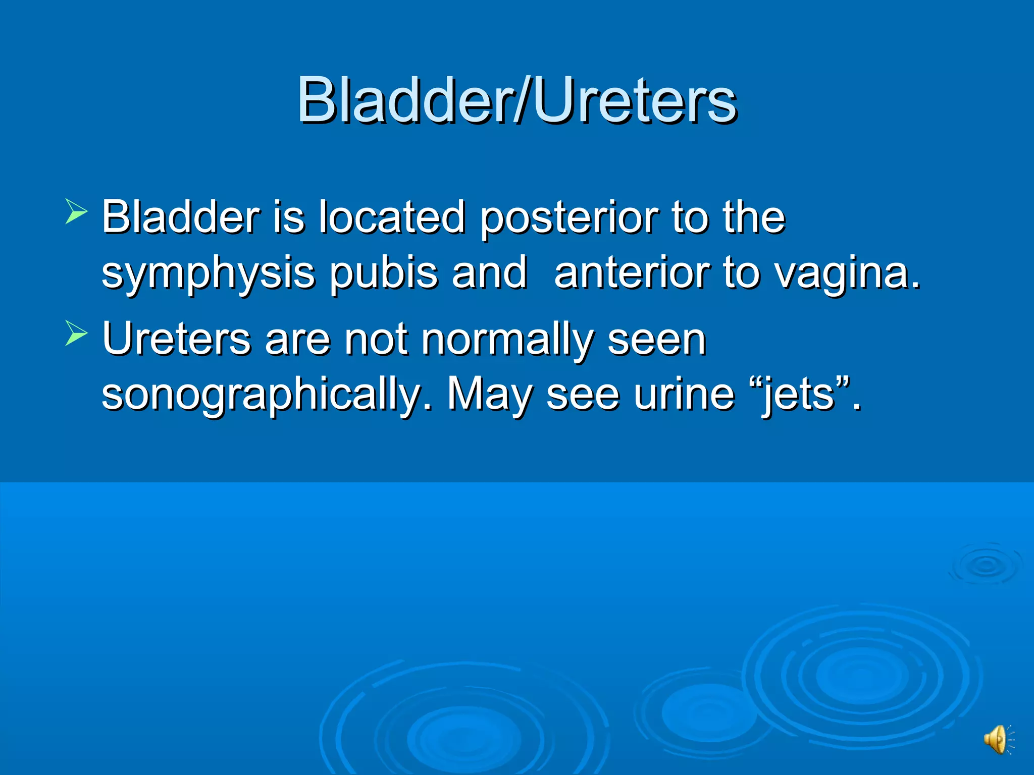 Sono 202 normal gyn anatomy | PPT